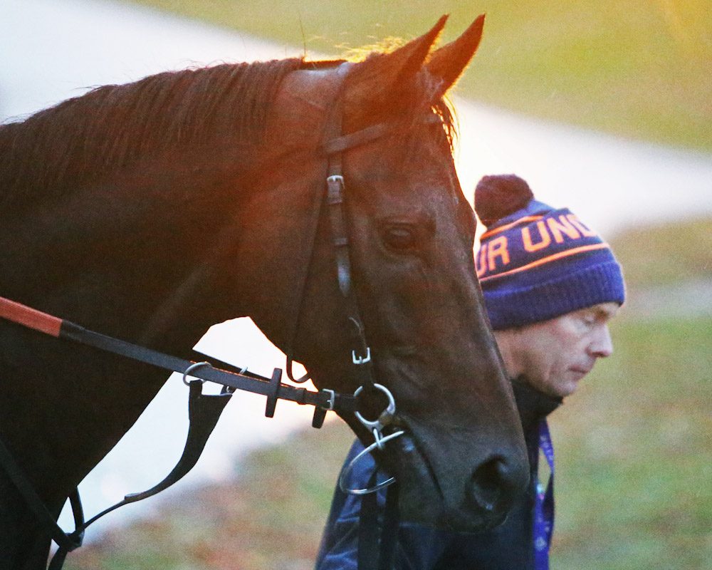 Time Test – Morning Training – Keeneland Race Course – 102715 – The ...