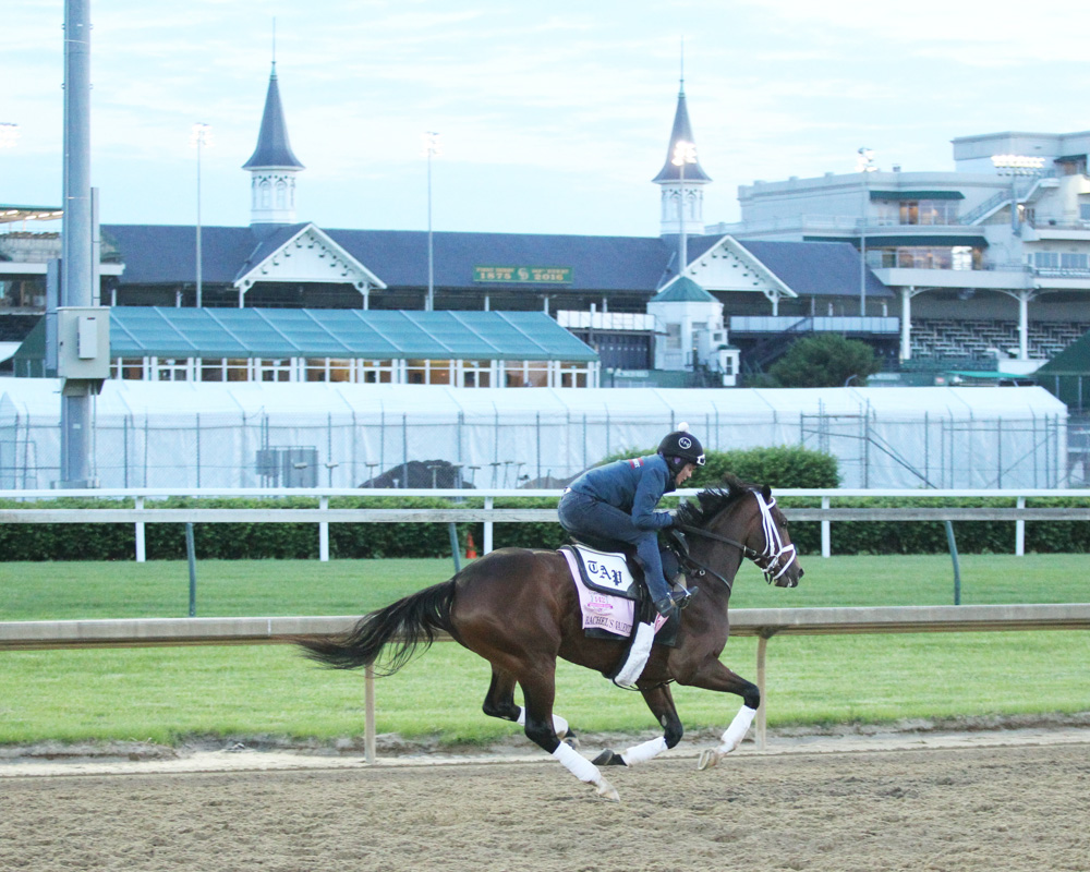Rachel’s Valentina – Morning Gallop – CD – 050416 – 002 – The Turf Board