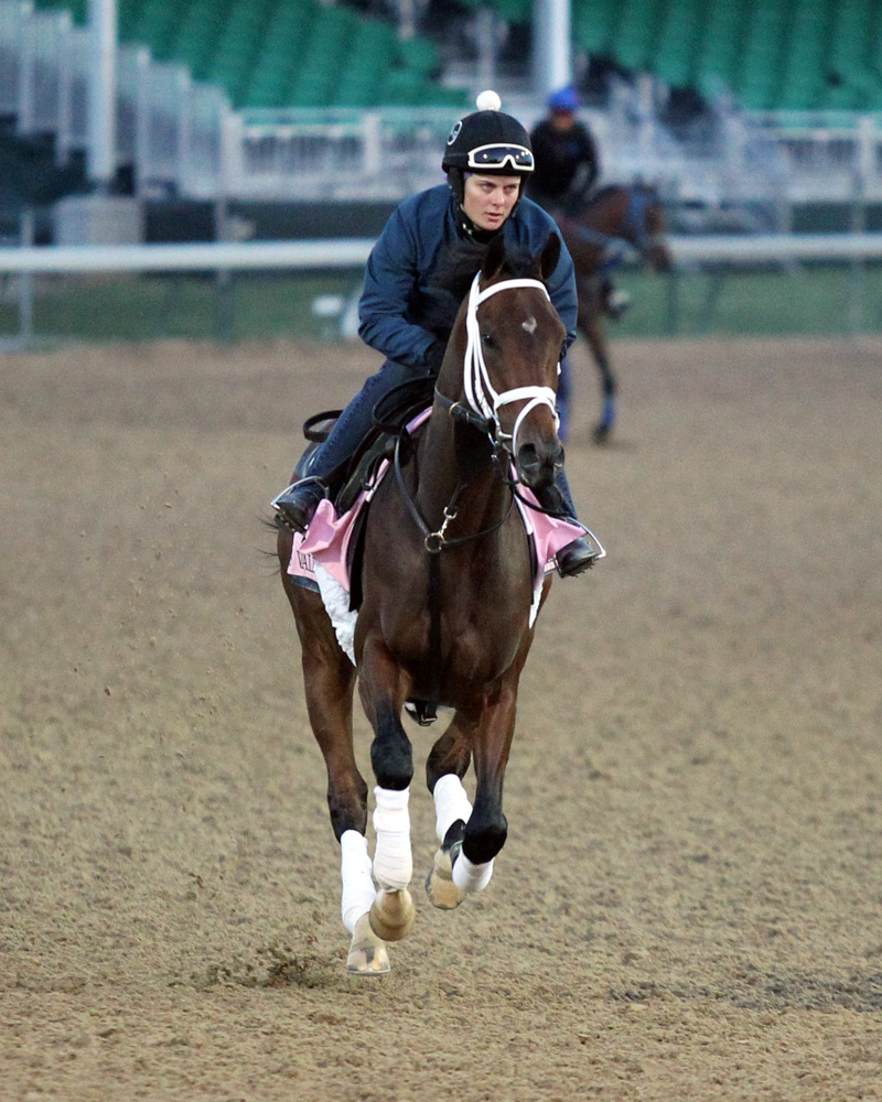 Rachel’s Valentina – Morning Gallop – CD – 050416 – 003 – The Turf Board